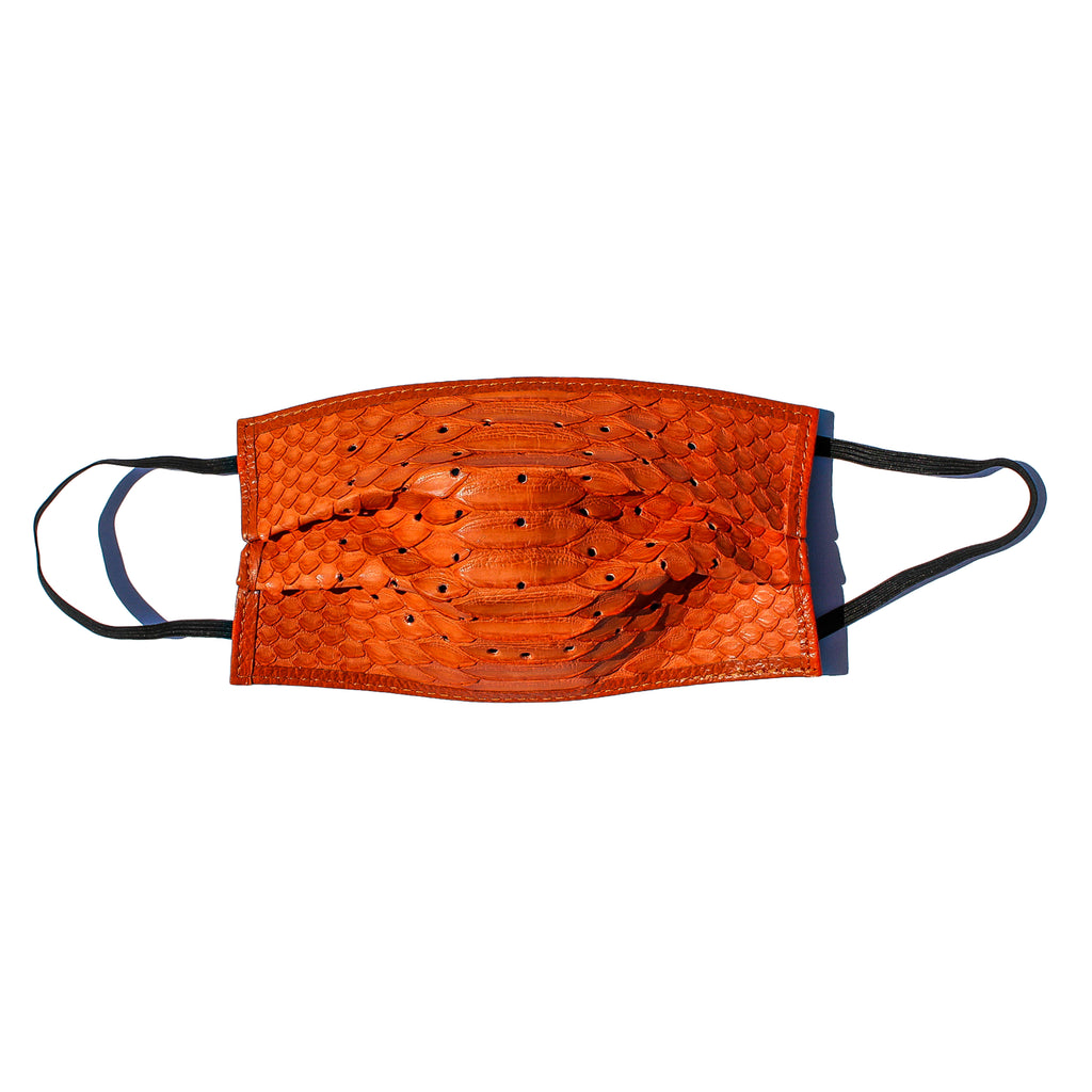 Python Face Mask