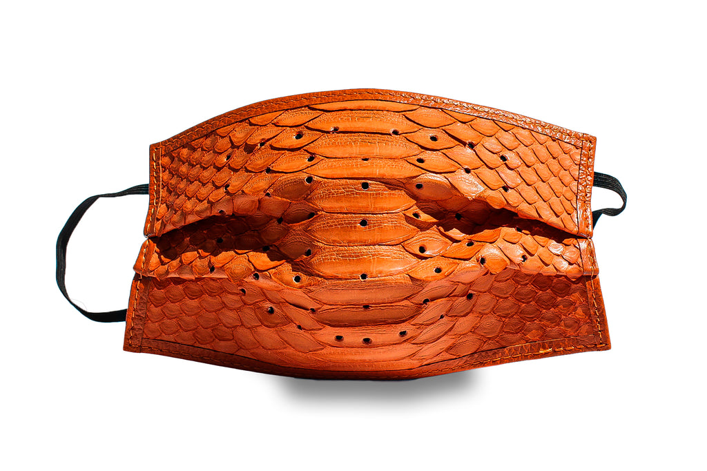 Python Face Mask